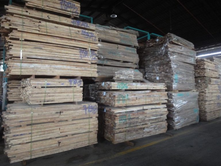 Wood Processing - Living Nature