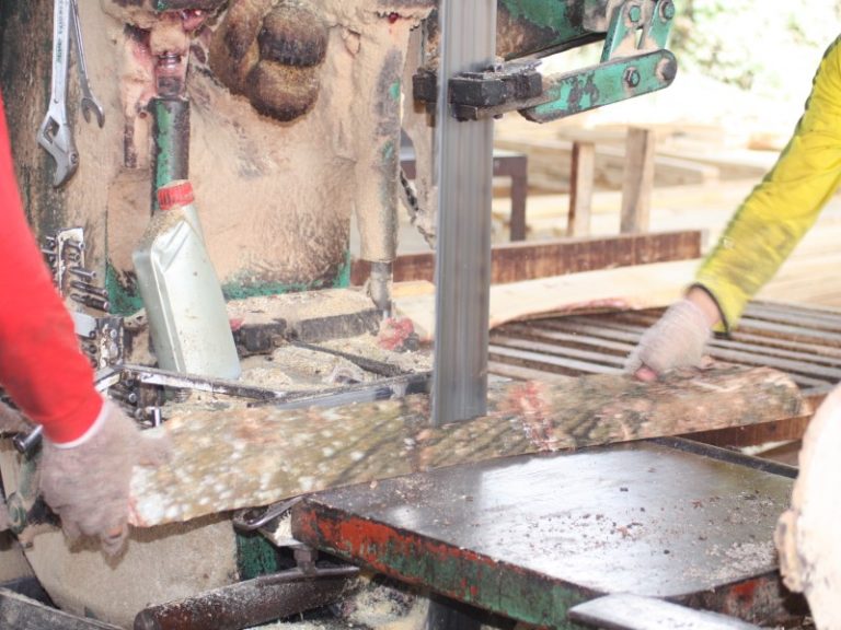 Wood Processing - Living Nature